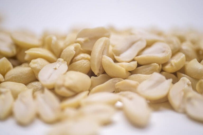 Groundnuts / Treenuts - Steinweg