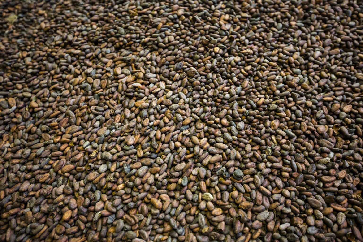 Amsterdam - Steinweg