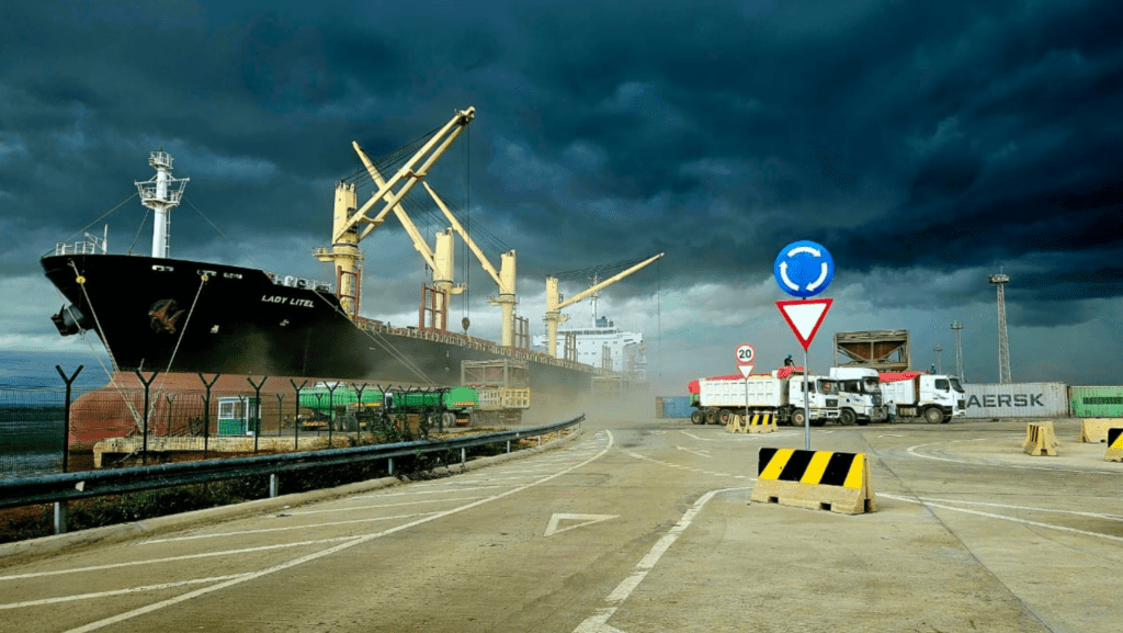 Enhanced Port Efficiency with the New Nacala Bulk Grain Terminal - Steinweg