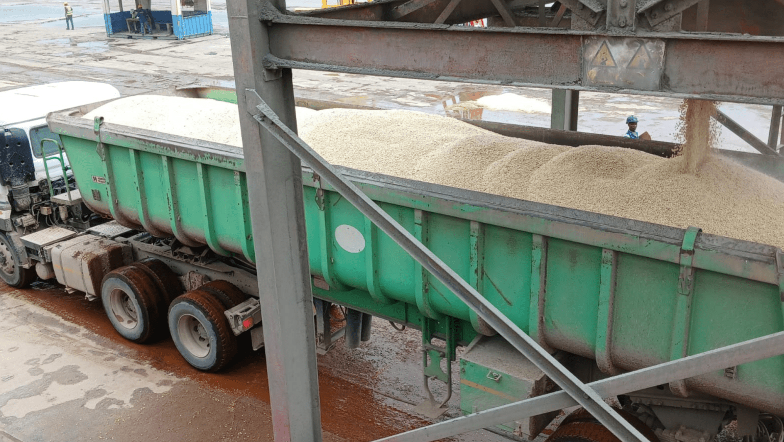 Bulk Grain Terminal: Improved Food Security - Steinweg