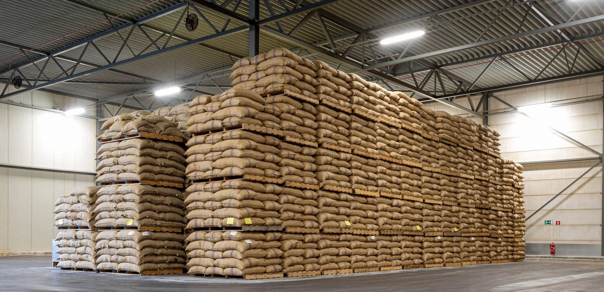 Steinweg Amsterdam: A hub in the global cocoa chain - Steinweg