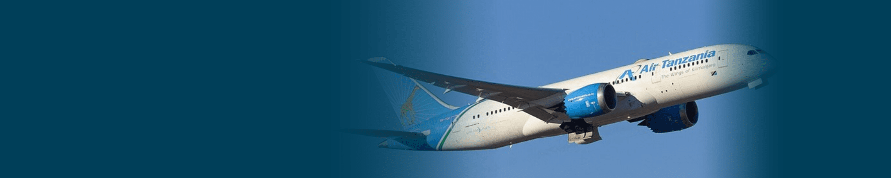 Weekly Update - 15 August 2025 - Steinweg